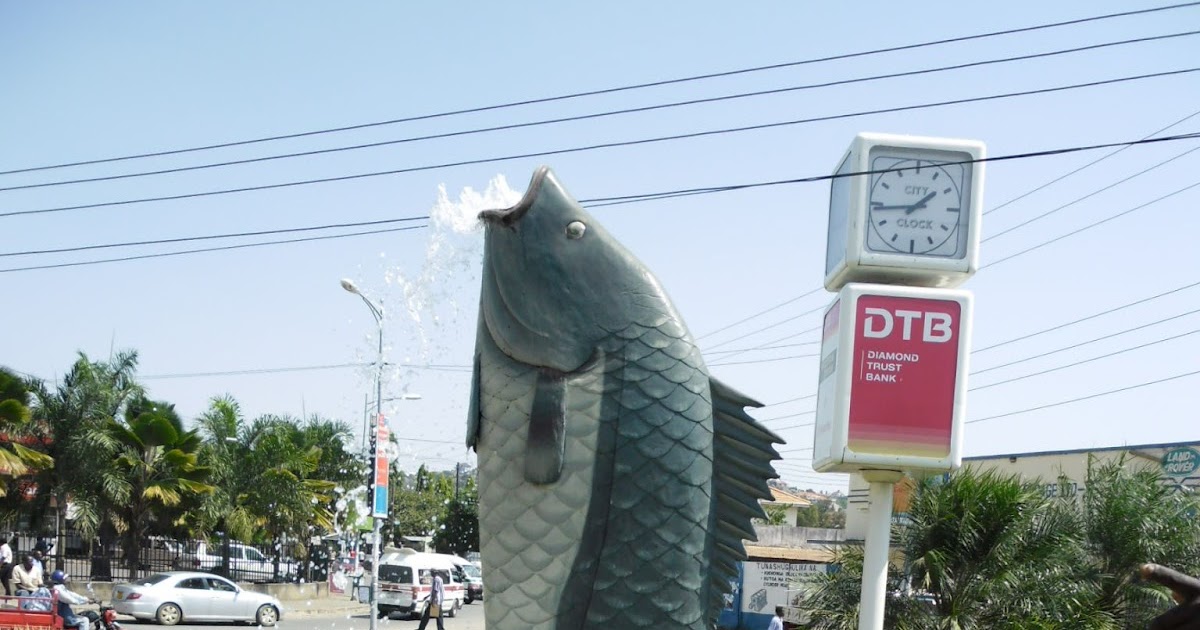 Vision Investments: 8th Local Government Day in Mwanza 2012