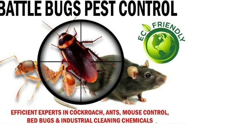 Cockroach Fumigation Cape Town: Cockroach Fumigation Cape Town