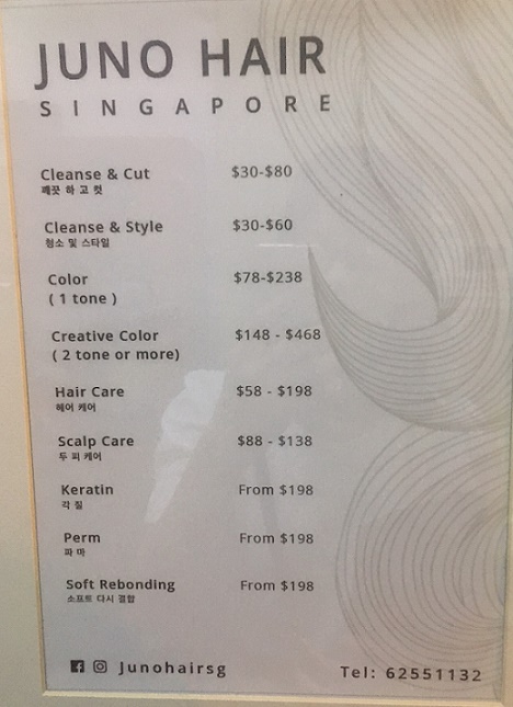 Shuqing's Story: JUNO Hair Singapore Official Launch