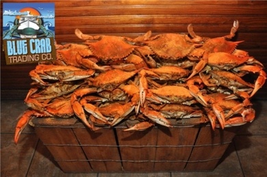 LET US ALL BE CONNECTED: Maryland Blue Female Sook Crabs with Spices