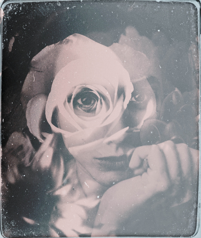 Jone Reed. Fotografía | Doctor Ojiplático