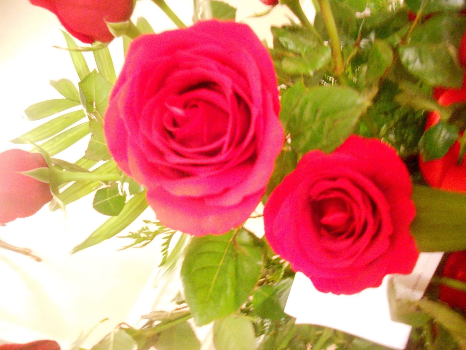 little yellow typewriter: STEPHEN GARFF MARRIOTT SERVICE