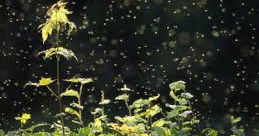 Show do Medo: SCP Foundation - SCP-2410