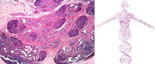 Pathology Introduction