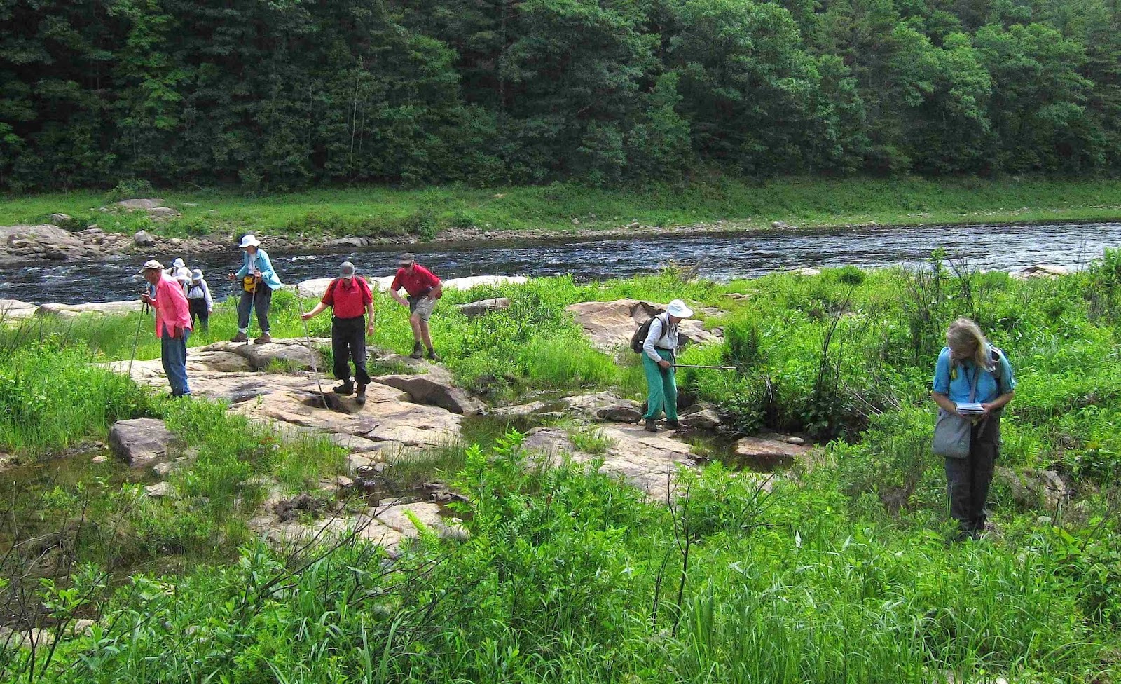 Saratoga woods and waterways: Flower-hunting With Friends On the Ice ...
