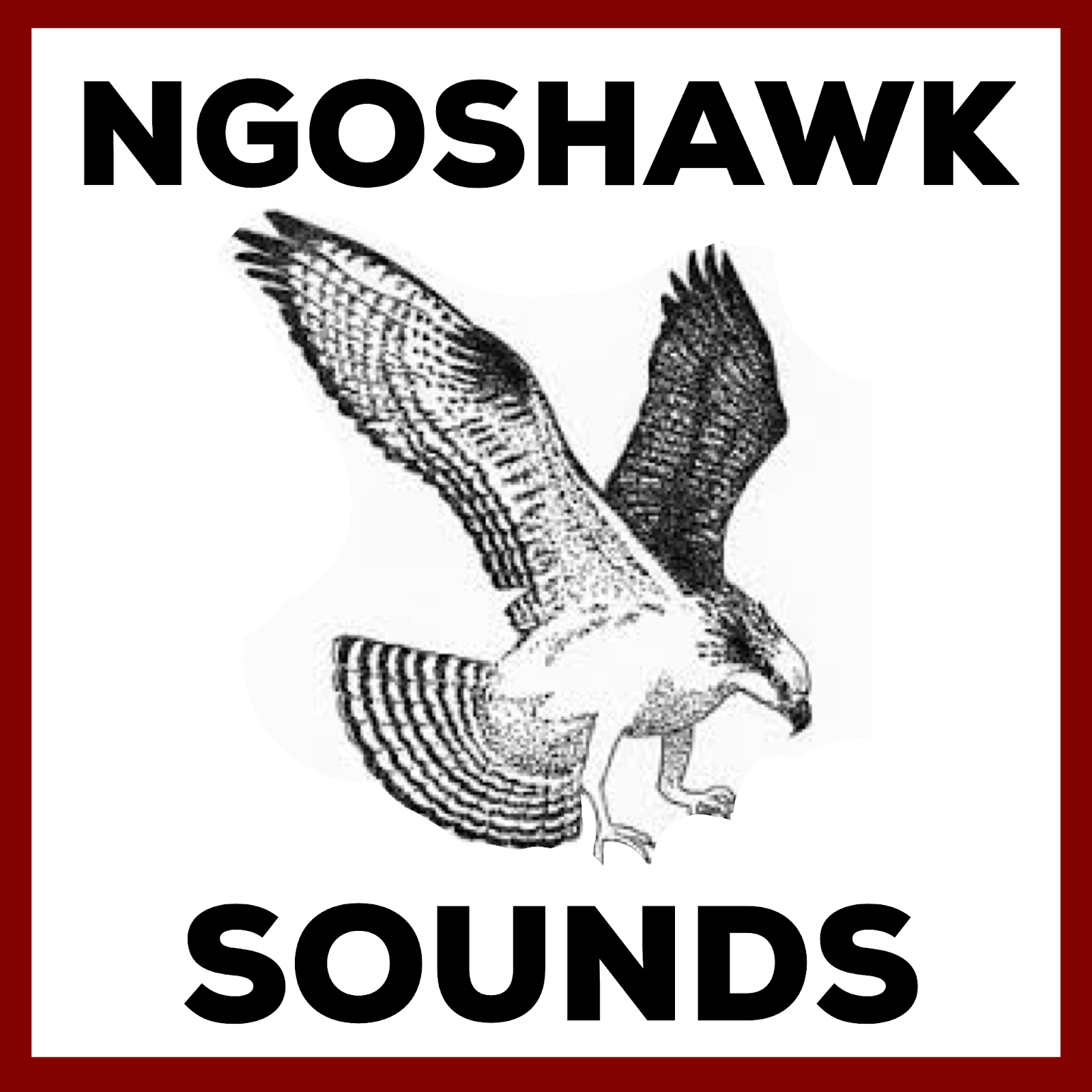 Apex Pinnacle 2 review - Ngoshawk