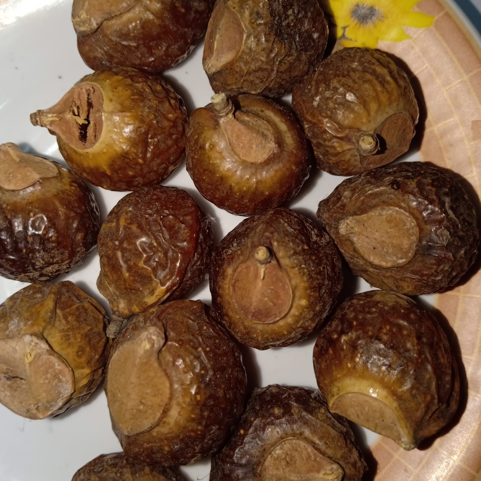 Organic herbal market: Soap nuts (Reetha) Its scientific name is ...