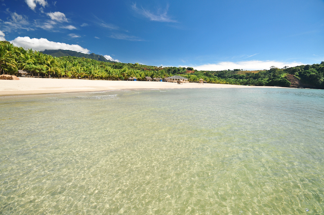 camaya coast: Camaya International