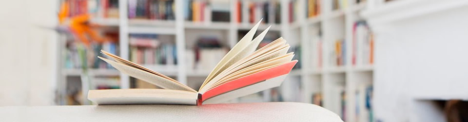 Publish A Book Chapter - Pen2Print Services