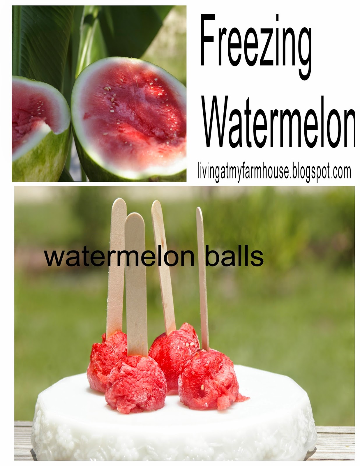Living at My Farmhouse: How to Freeze Watermelon