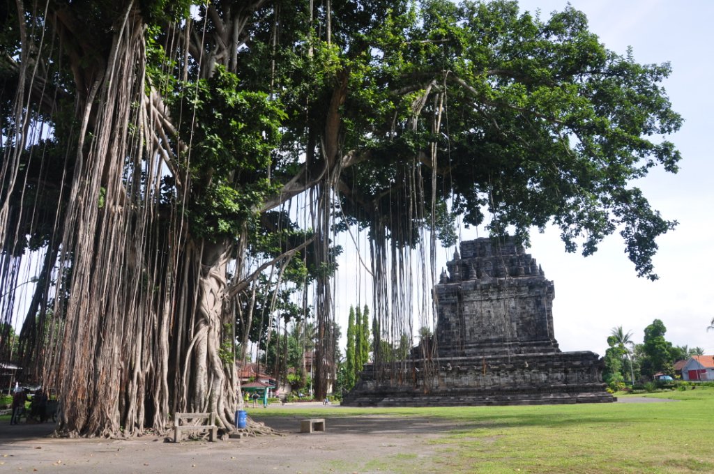 Viagem Afora: Yogyakarta, em Java, na Indonésia