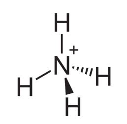 Bienvenidos a Descubrir La Química : Amoníaco y amonio