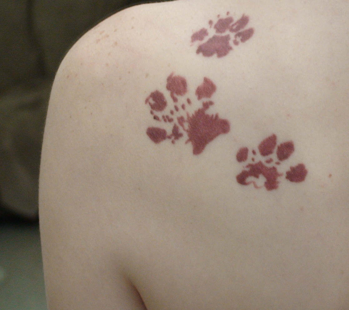 The Super Awesome Blog of Dogventuring: Pawprints