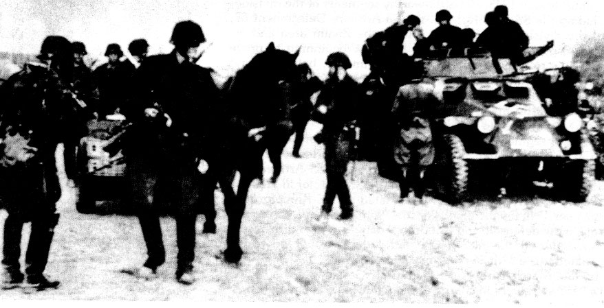 Neues Europa: The History of the 37th SS-Freiwilugen-Kavallerie ...