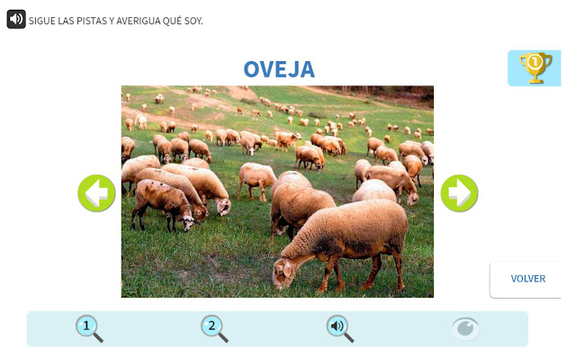 .: Juega con los animales domésticos