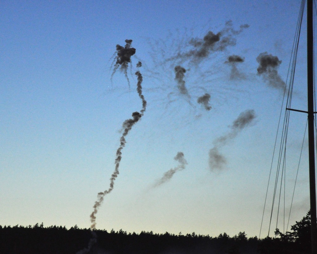 Orca Watcher: Photos From the Last Two Weeks