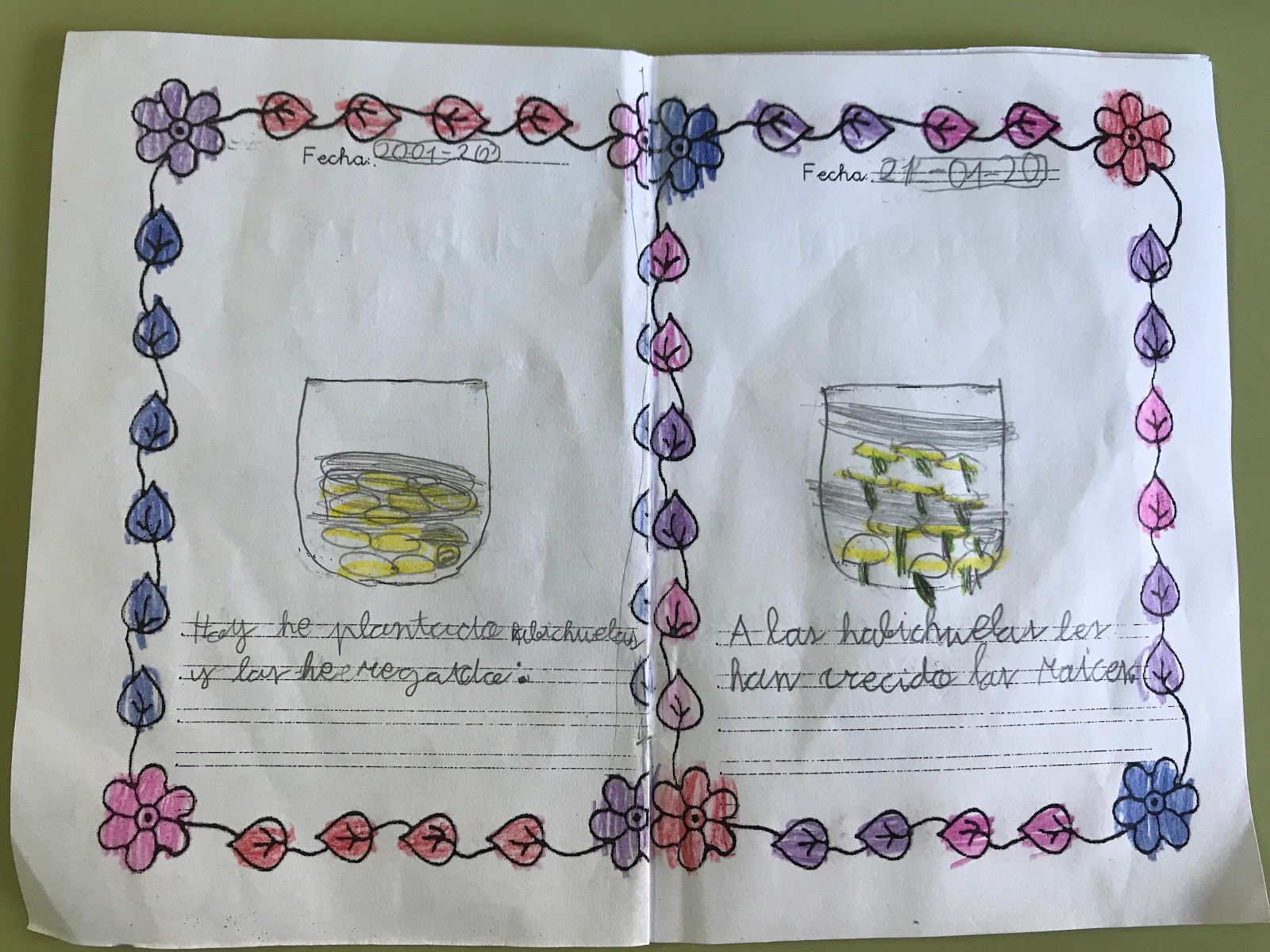 Recursos de Andrea: Diario de mi planta