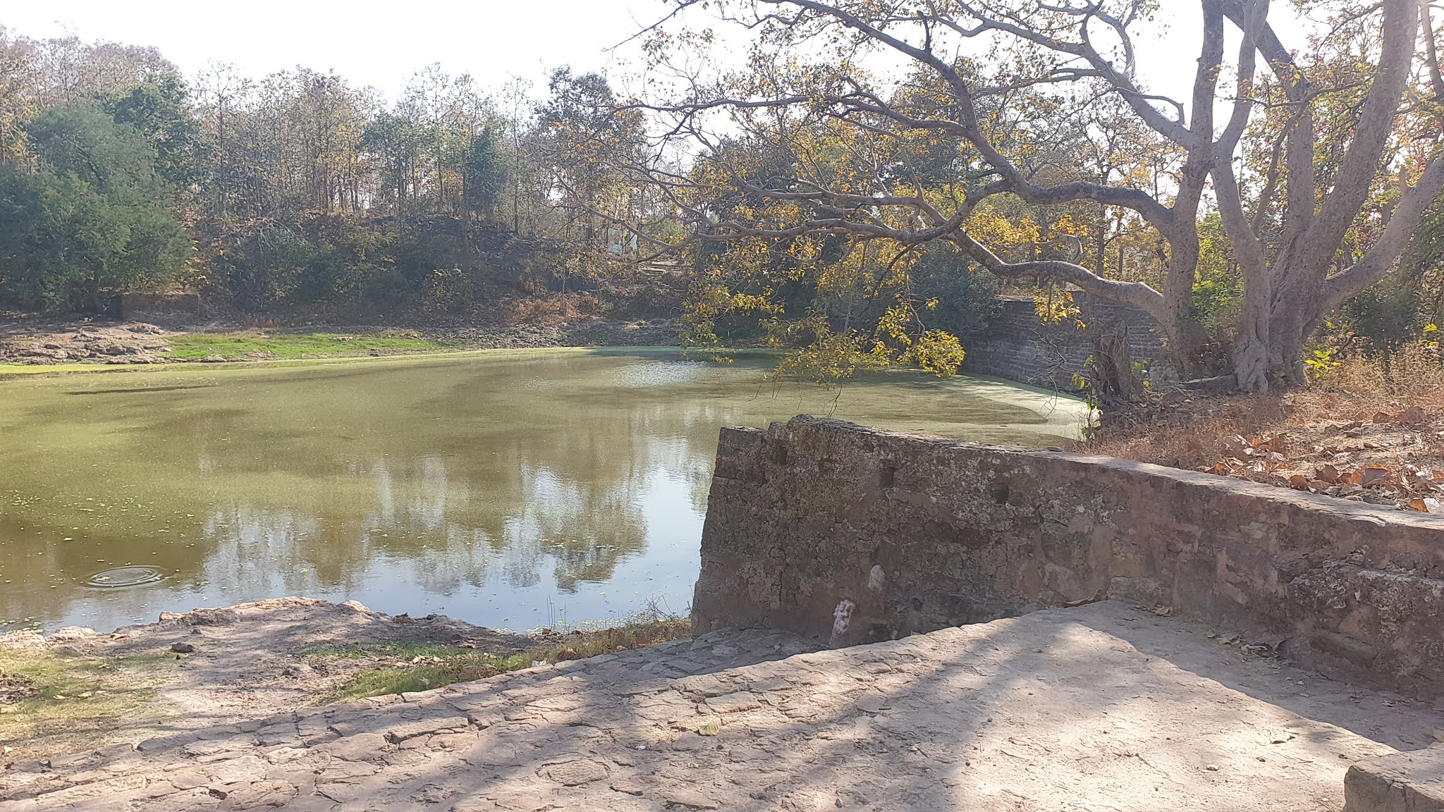 Chauragarh Fort (Chougan Ka Kila) (चौरागढ़ फोर्ट) Photos