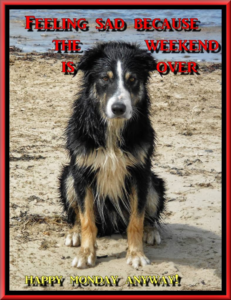 Open Your Eyes. Life Is Beautiful: Feeling sad because the weekend is over.