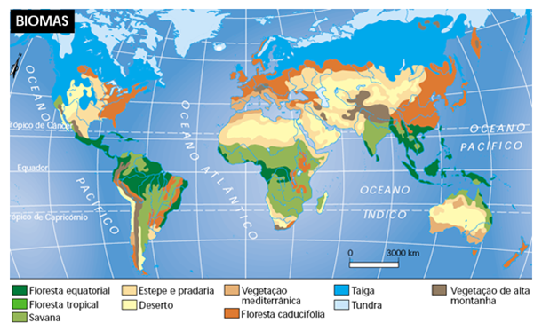 Qual é o teu limite?: Os principais biomas e as suas características