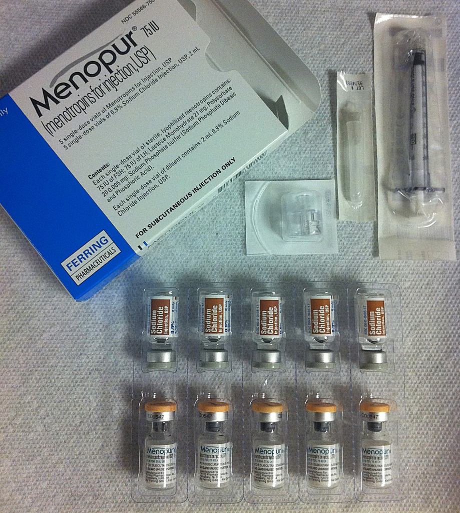 Diário de uma FIV: sobre a jornada e a esperança de ser mãe: Iniciando ...