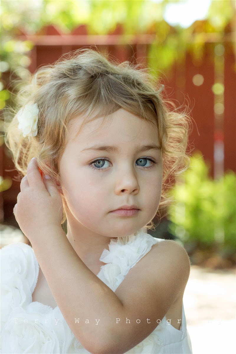 Terry Way Photography Santa Cruz Photographer: Bargetto Winery Wedding ...