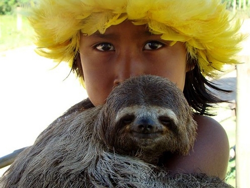 White Wolf : 20 Amazing Pictures Of Rainforest People With Animals