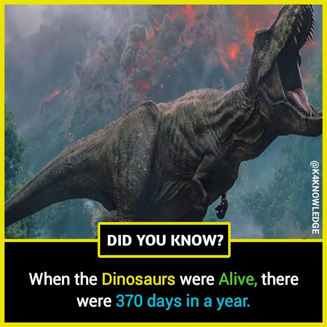 [40+] Amazing Facts, Interesting Facts