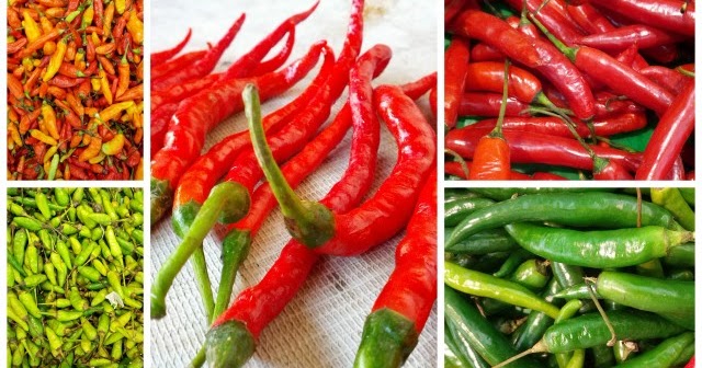 Jualbenihlombok: Jenis-Jenis Cabai di Indonesia
