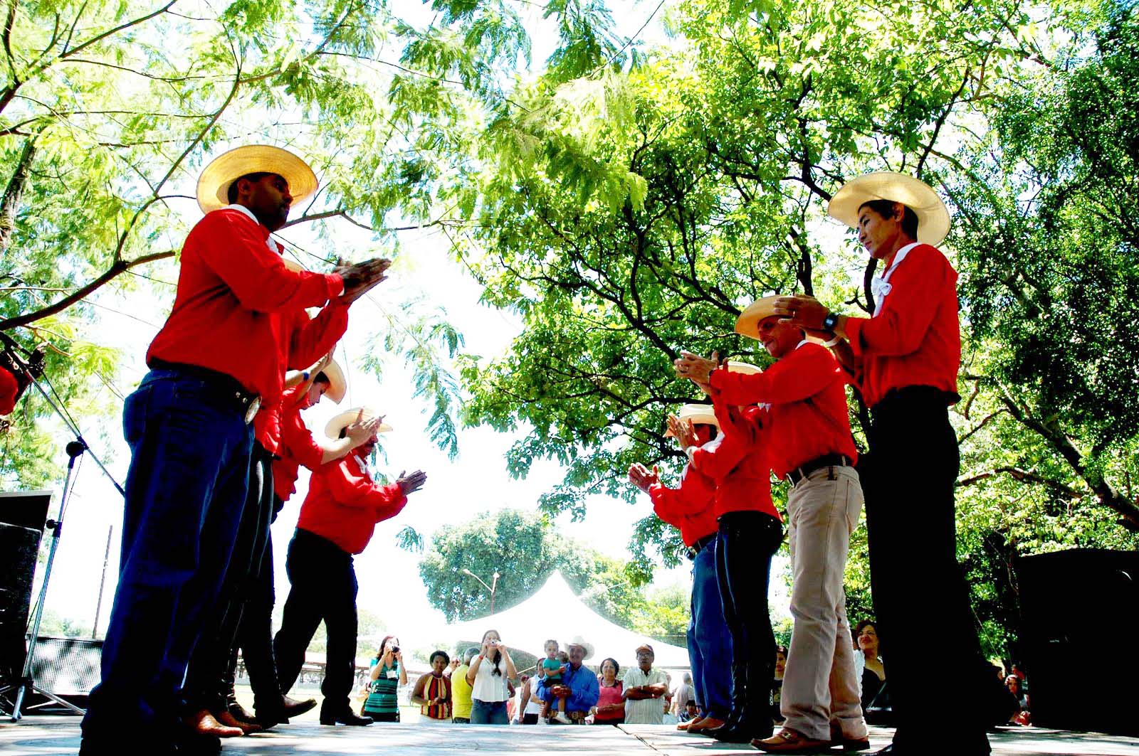 Todeschini Minas - Arquitetura Artística: Catira, uma expressão ...