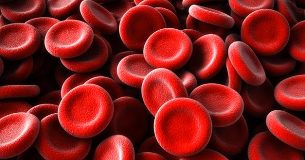 Latinski jezik za medicinske škole: Eritrociti - Erythrocytes