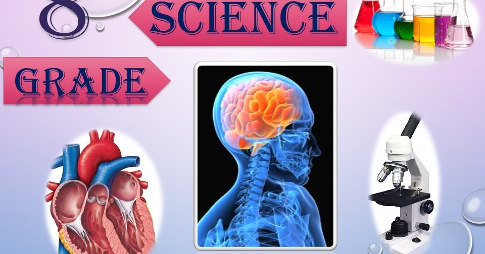 Grade 8 - Science (English Medium)