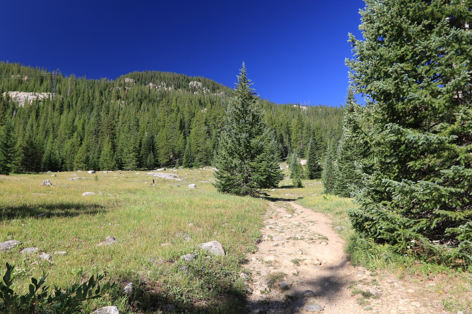 gjhikes.com: Timberline Lake