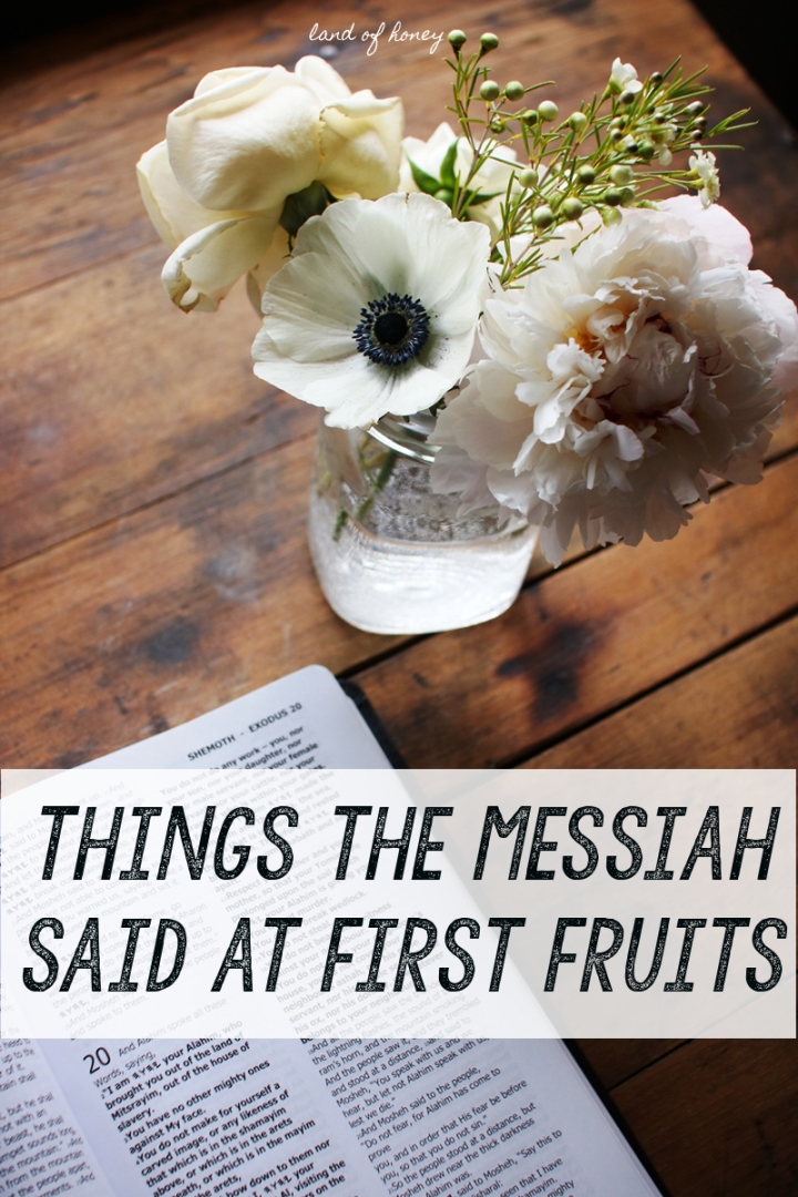 land of honey: Things the Messiah Said on First Fruits