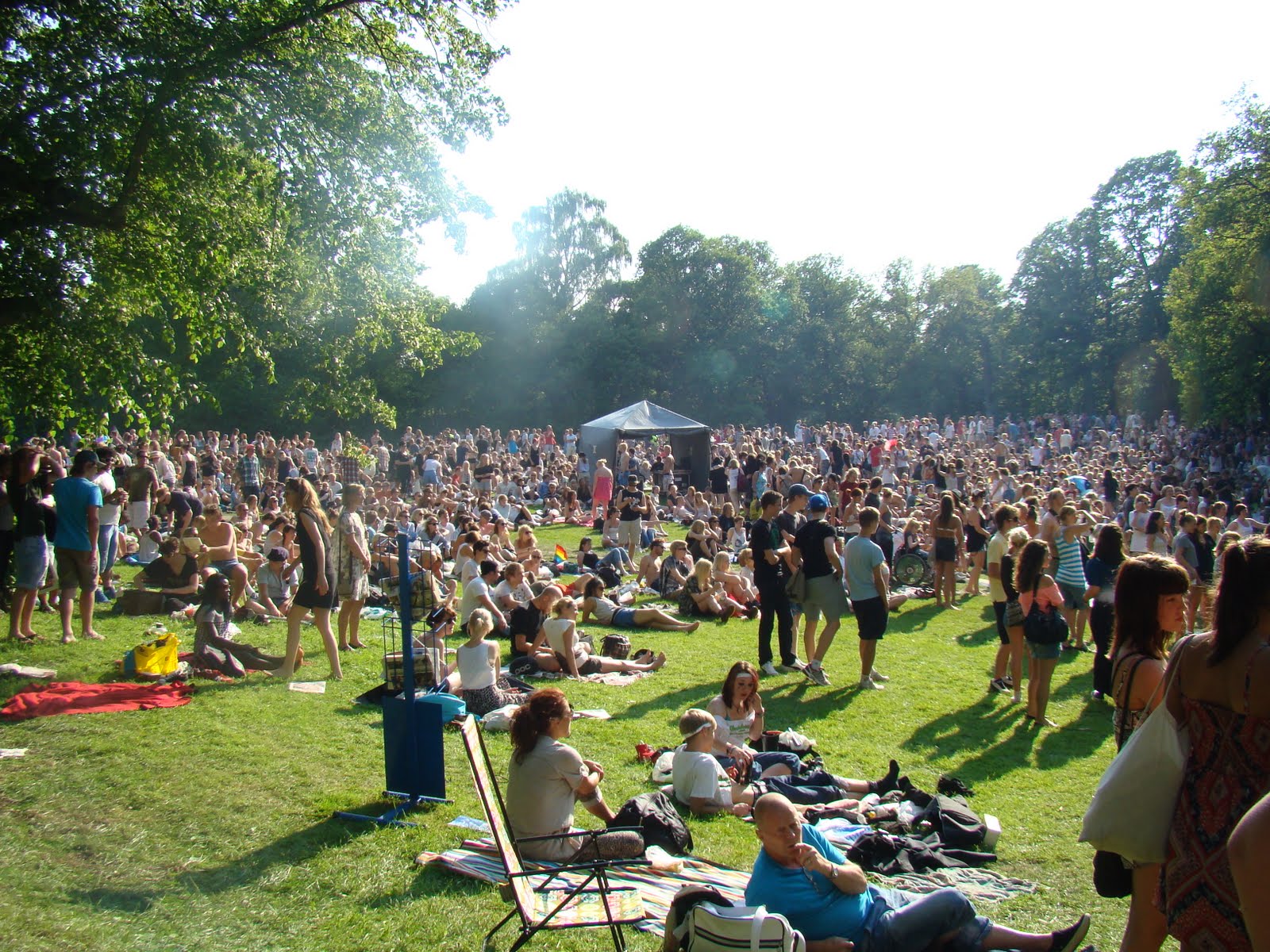 A Bloody Red Saga: Picnic Festival and Swedish National Day