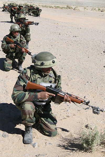 Days n Nights : Indian Army emerges as the best patrolling force in the ...