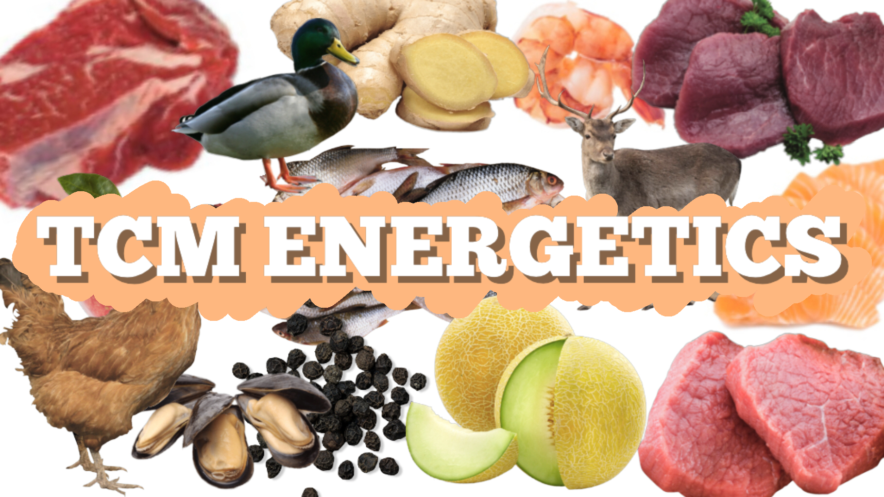 TCM Energetics- Let's Talk Science | Hannah Ra