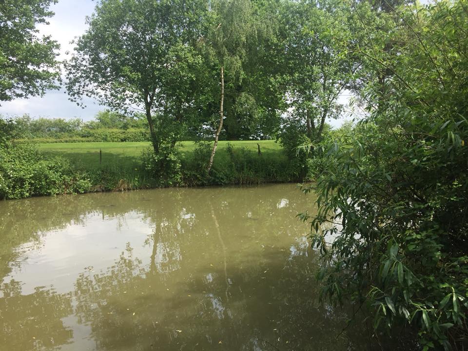 UK fishing venues: Raker Lakes (Horseshoe Lake) - Venue Review