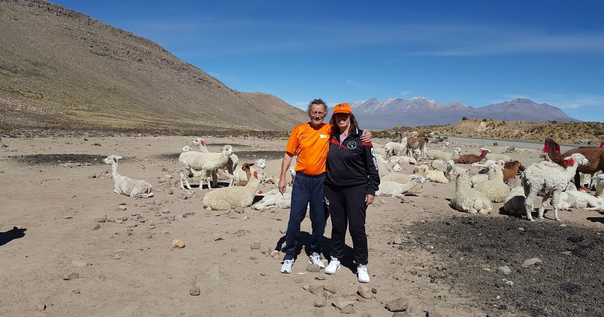 ESCB: L' ESCB TOUJOURS PLUS HAUT