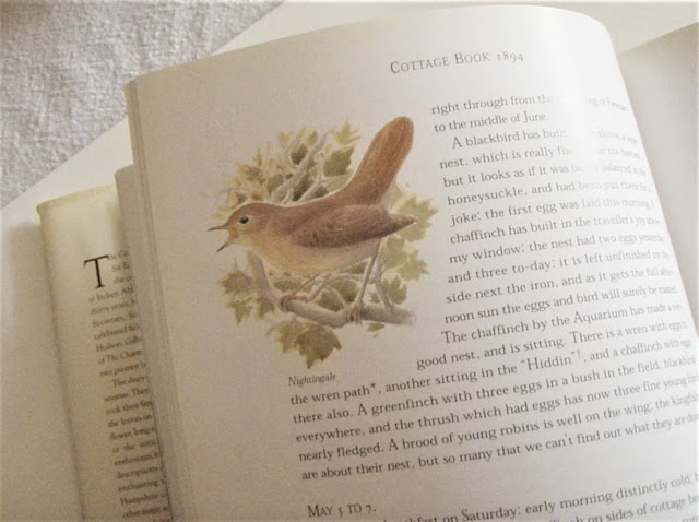 Cabin & Cottage : Pretty Garden Books