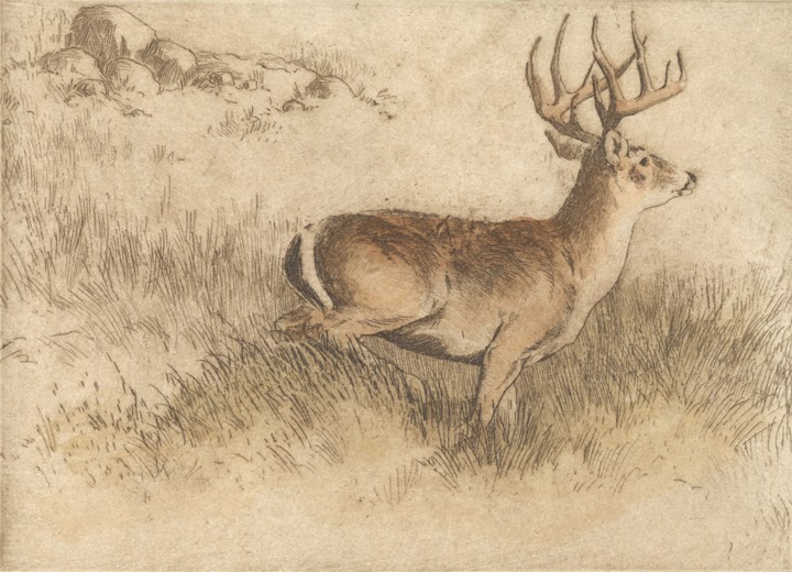 Sandy Scott Art: March 2014