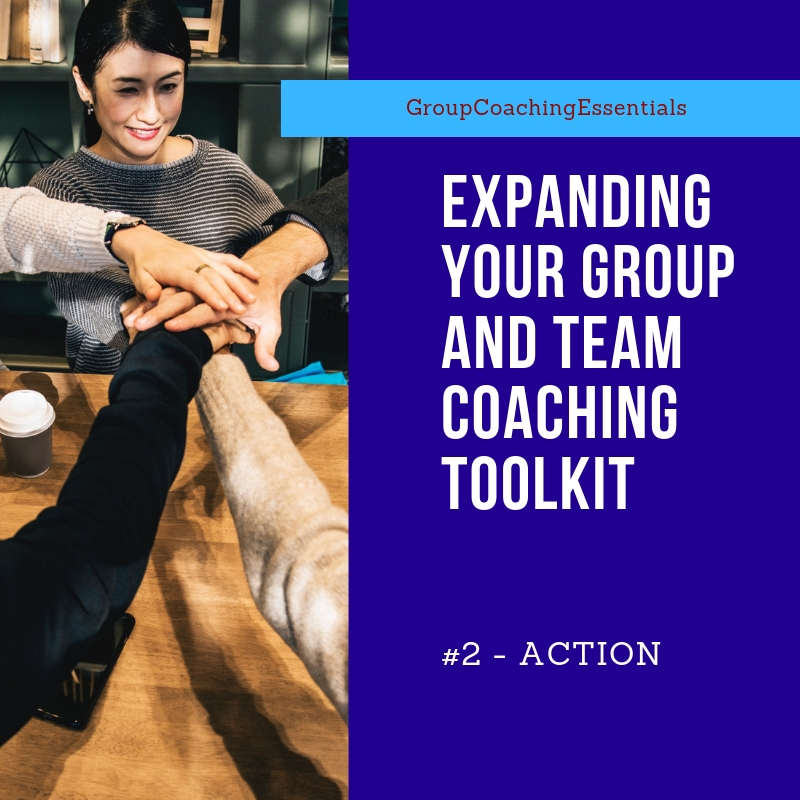 Group Coaching: Ins and Outs: Expanding Your Group and Team Coaching ...