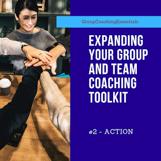 Group Coaching: Ins and Outs: Expanding Your Group and Team Coaching ...