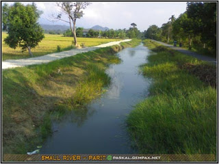 JENIS PARIT DALAM BAHASA BUGIS - Sekolah Pendidikan Manajer Digital ...