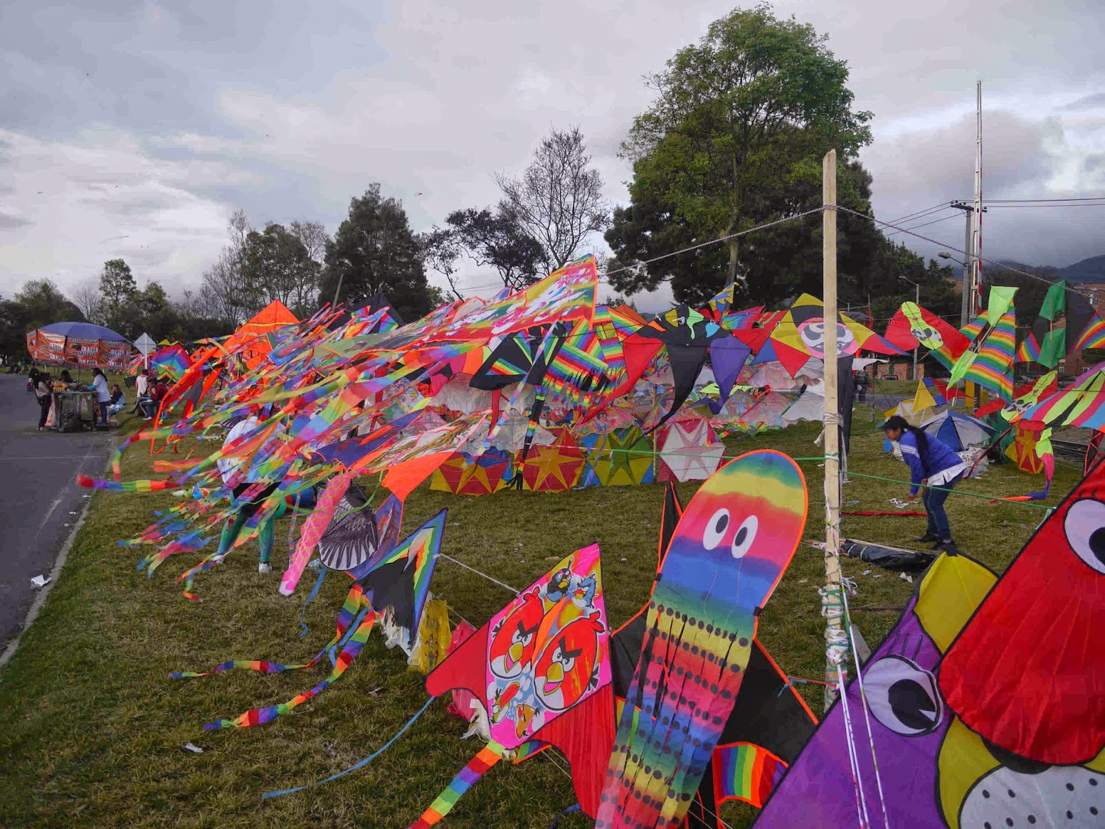 Mike's Bogota Blog: August is Kite-Flying Month