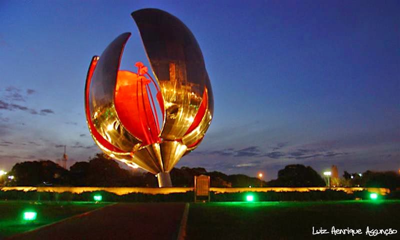 PAVAN MICKEY: The Fascinating Metallic Flower in Argentina