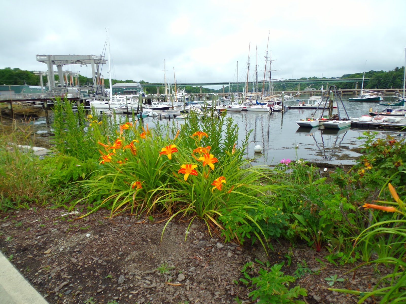 Harbor Walk Belfast, Maine