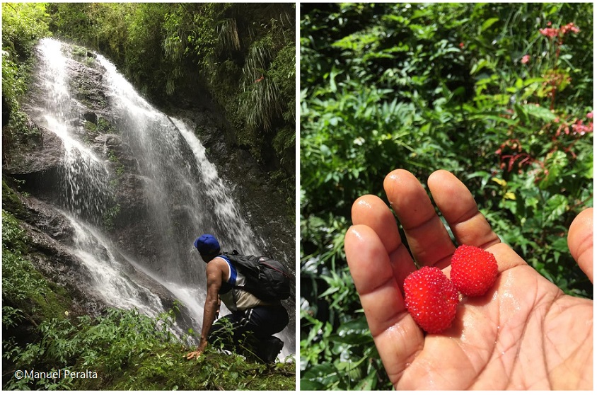 Ningún lugar está lejos... en RD: noviembre 2018