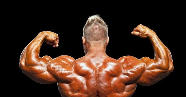 Bodybuilding: Jay Cutler Back