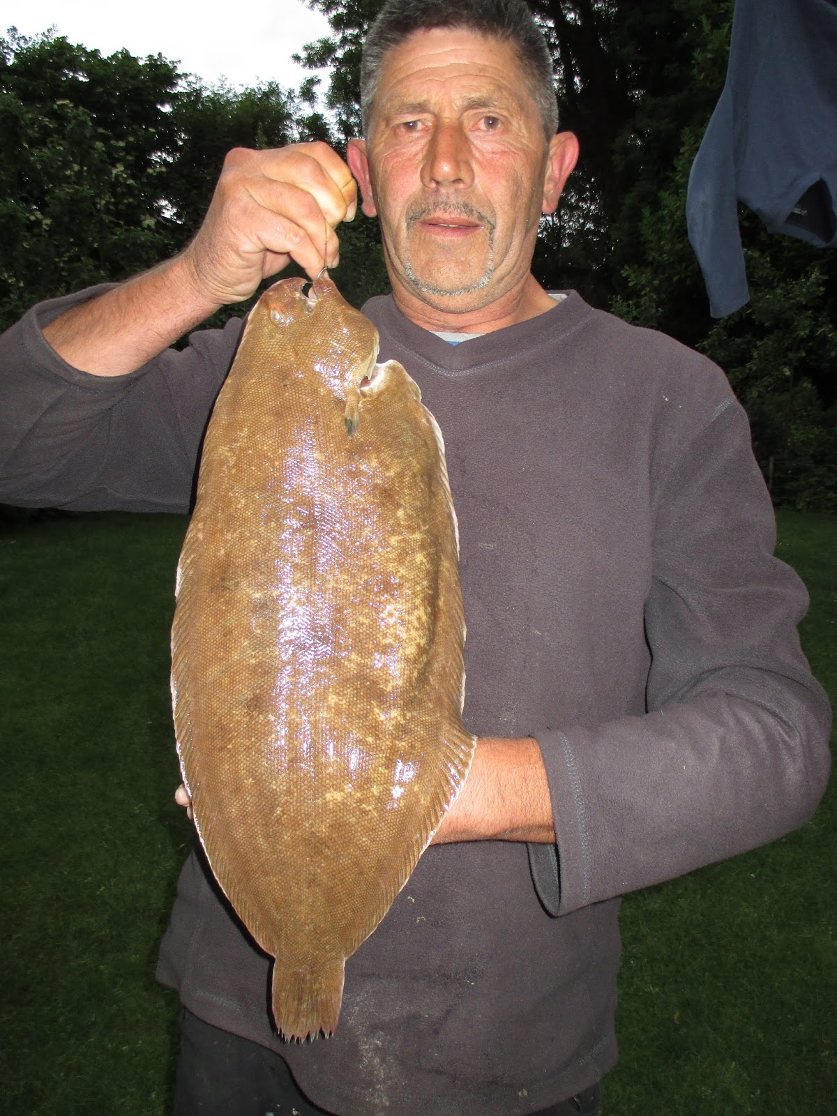 June 2015 Fish of the Month Entry - Welsh Sole!